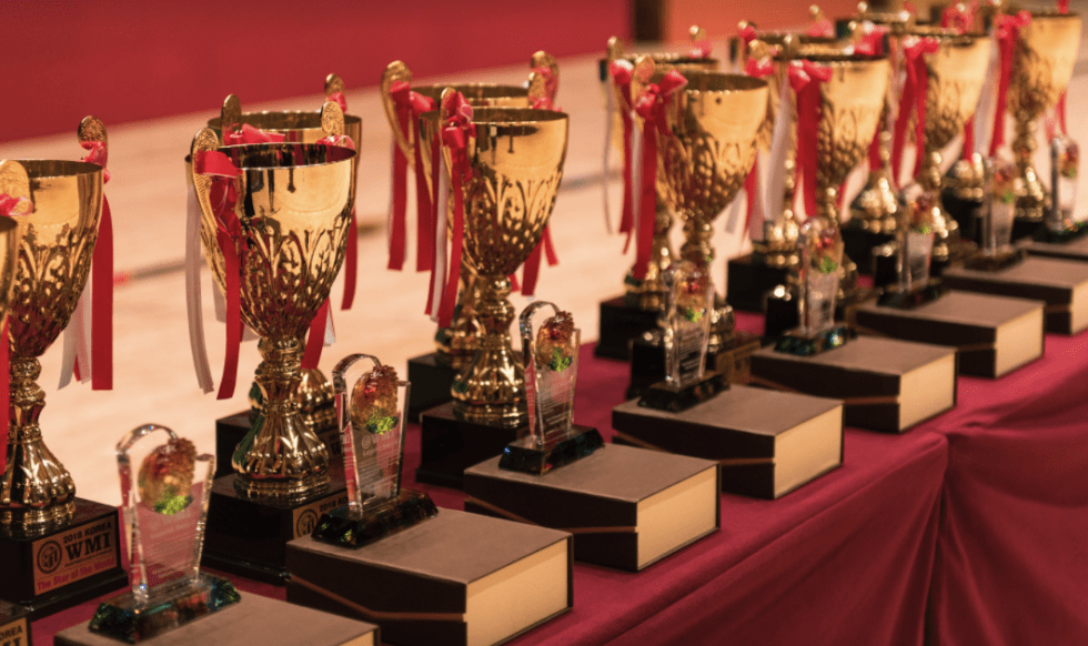 WMI - Global Olympiads Academy